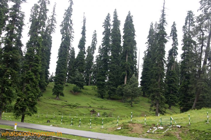 kashmir tour | whats cooking mom